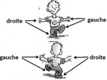 Lat ralit Distinction Droite Gauche Et Orientation Spatiale lat-ralit-distinction-droite-gauche-et-orientation-spatiale